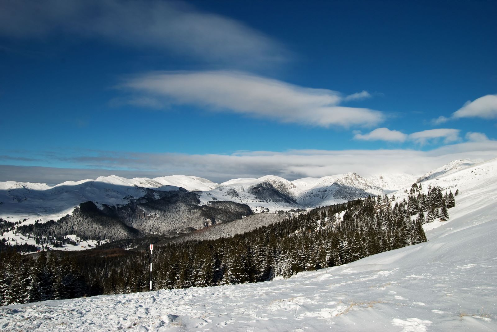 Padina, la un curs de prim-ajutor – Life, Adventures and Bikes.