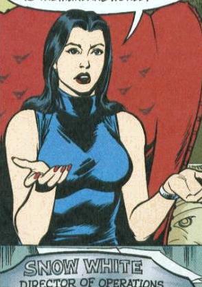 Comically Graphic: Comic Book Review: Fables # 1