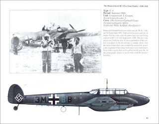 Bf 110 In Color Profile 1939-1945
