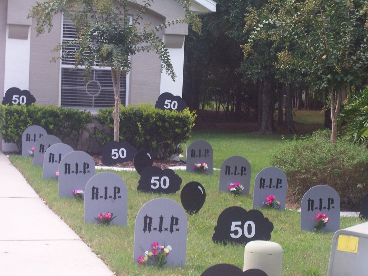 *THE YARD FLOCKERS* Pinellas County, Fla 727-409-5590 WWW ...