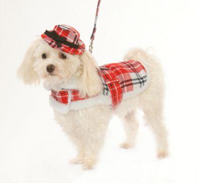 Fotos de perros de moda | Toda opinion de perroseli