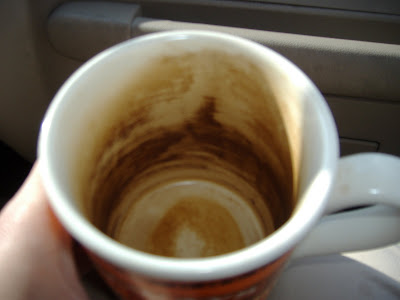 Island Academy: Just about the grossest thing on earth.