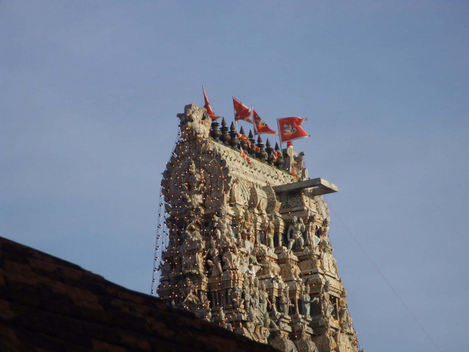 Passion Parade: A Charming Aadi Vel Cart Parade in Colombo