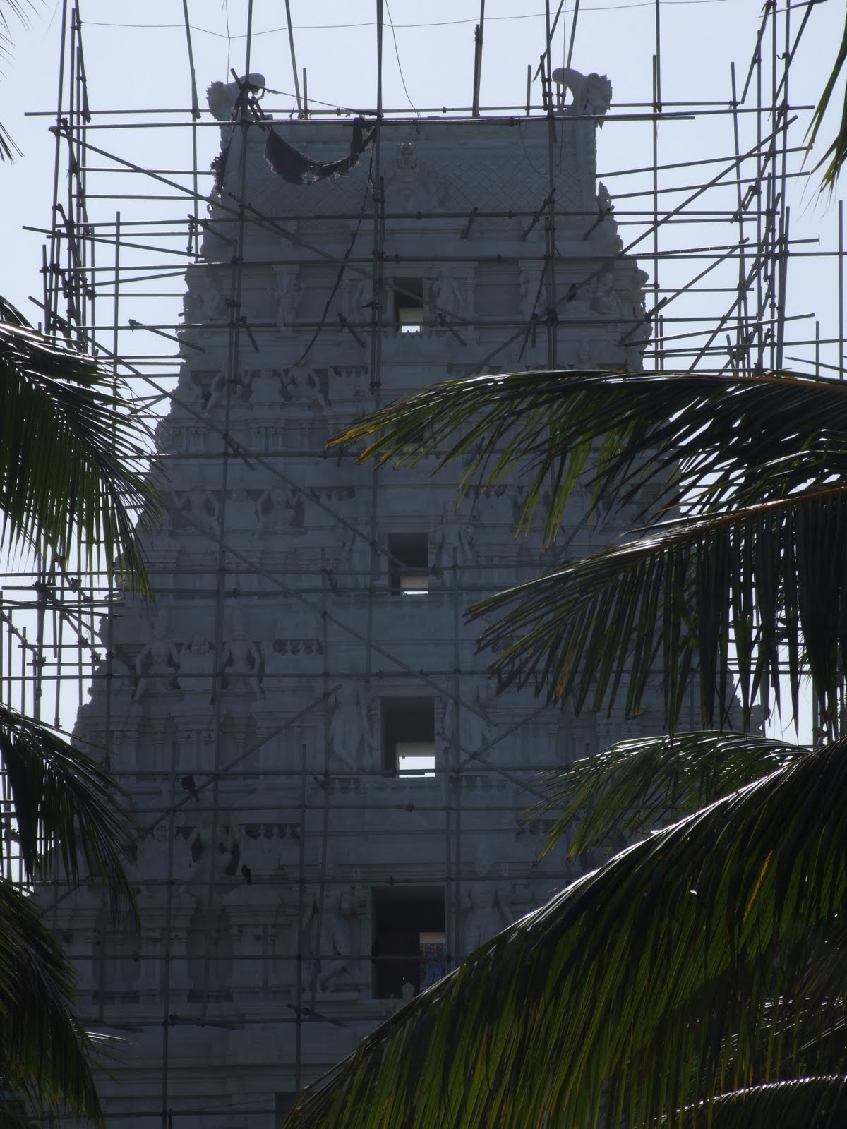 Passion Parade: A Charming Aadi Vel Cart Parade in Colombo