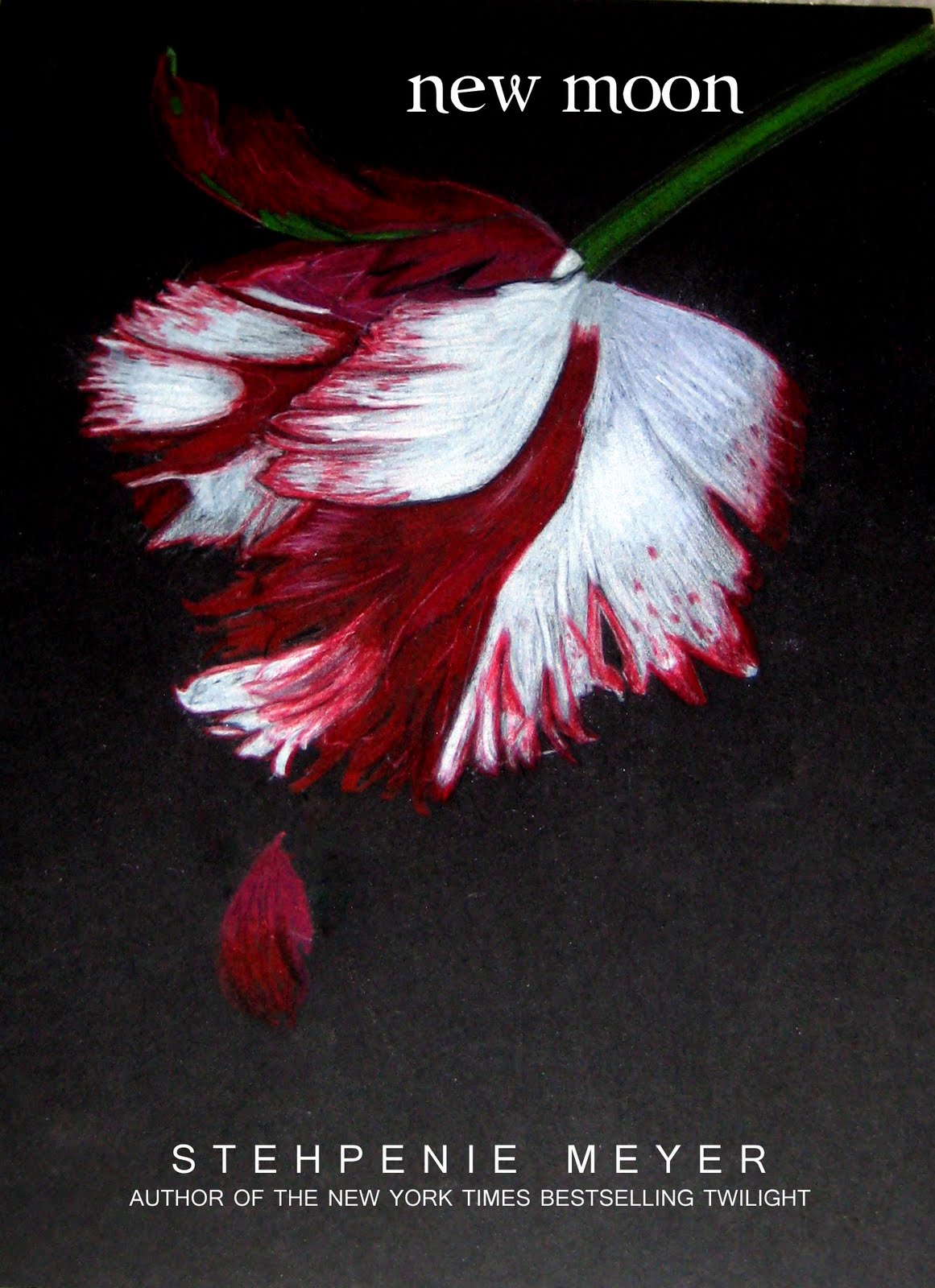 Books That Inspire Me: New Moon Inspired Artwork (Twilight Series)