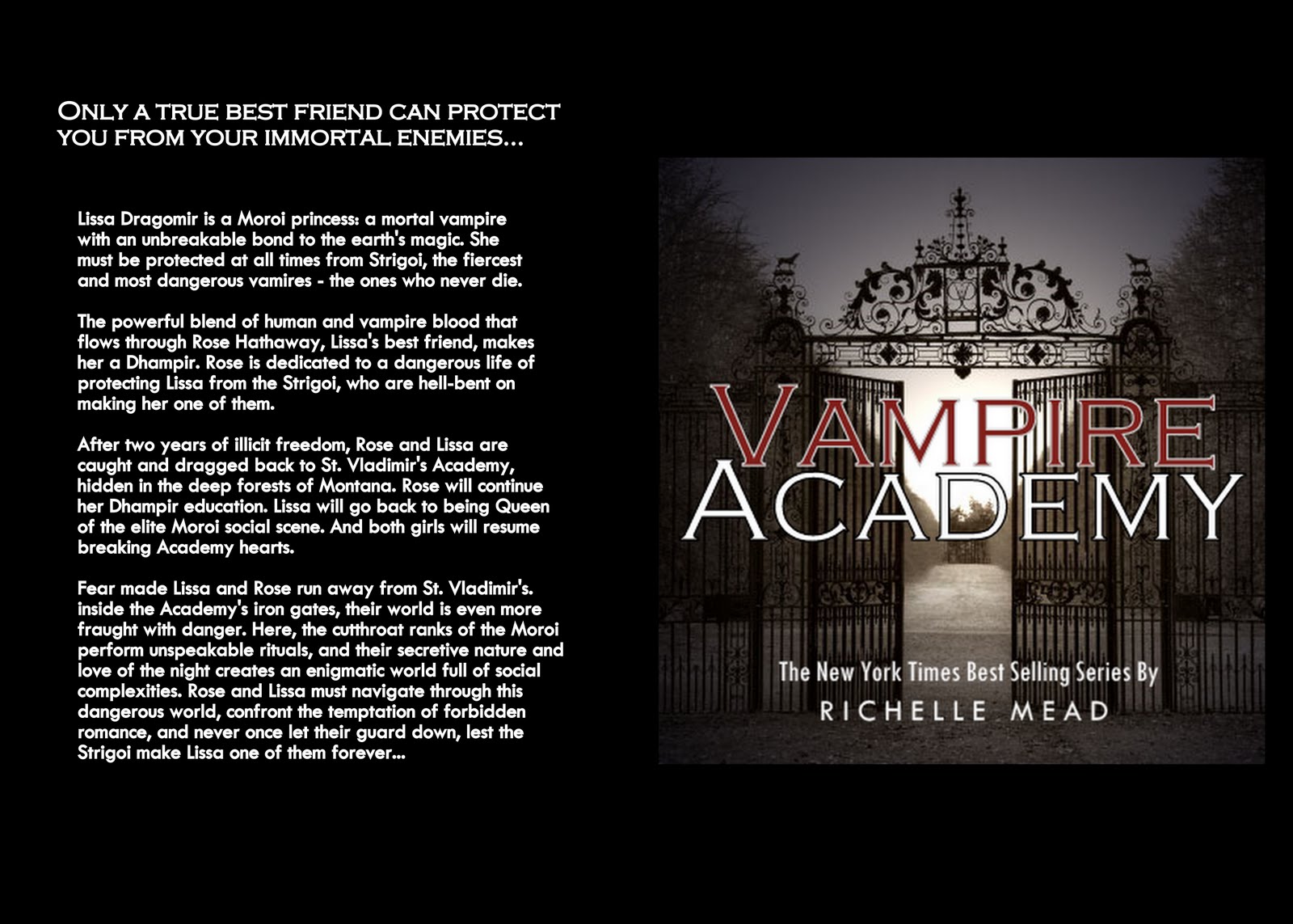 Books That Inspire Me: Vampire Academy Inspired Book Covers