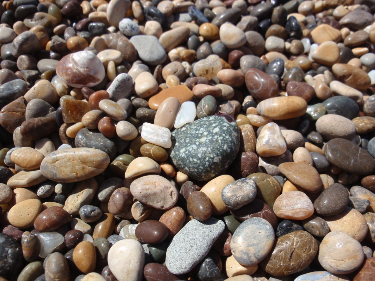 Everything Coastal: Pebble Beach ...