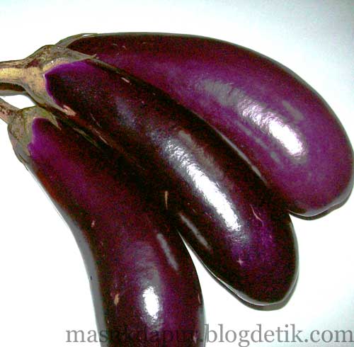 Benefit of Eggplant (Terong)