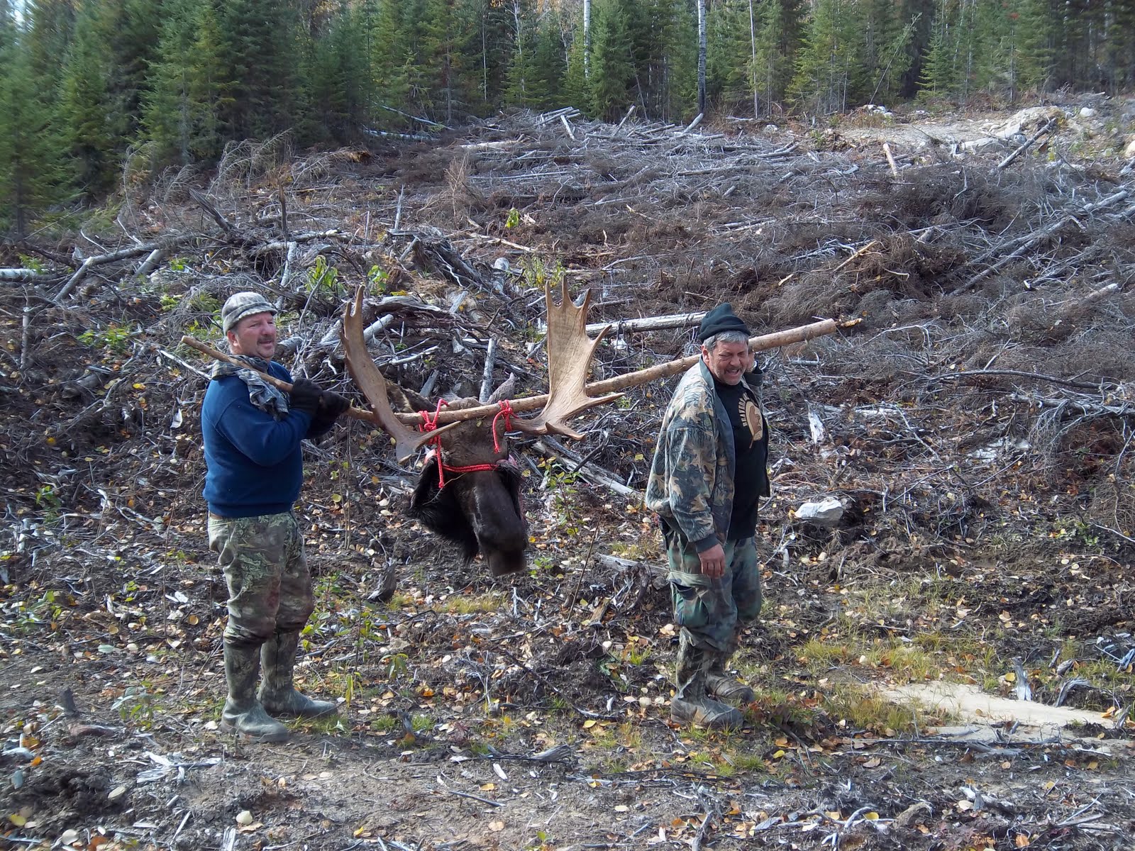 Paquette's Camp: Look at the head on that one