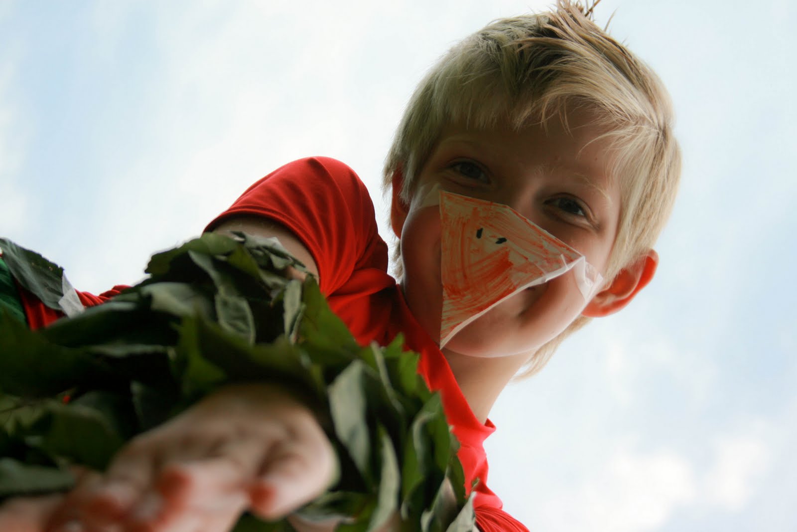 Towhead Adventures: Bird Boy