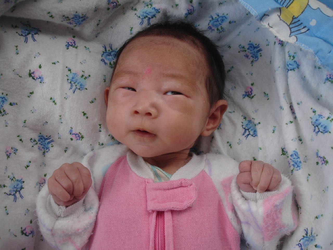 Little Flower Projects: A New Little Face - Baby Xia