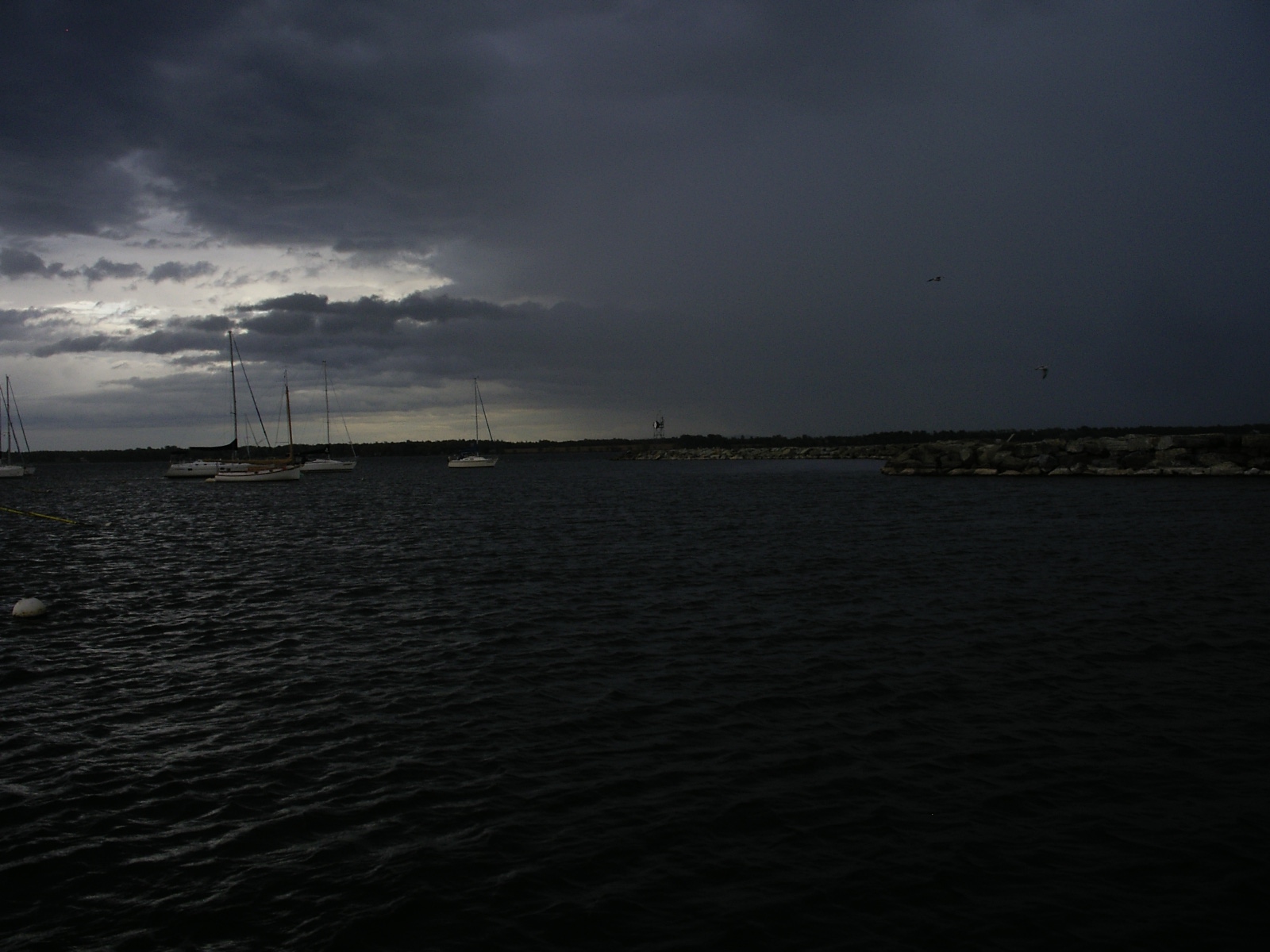 Odyssey IV - CSY 33': Hello from Chipman Point Marina