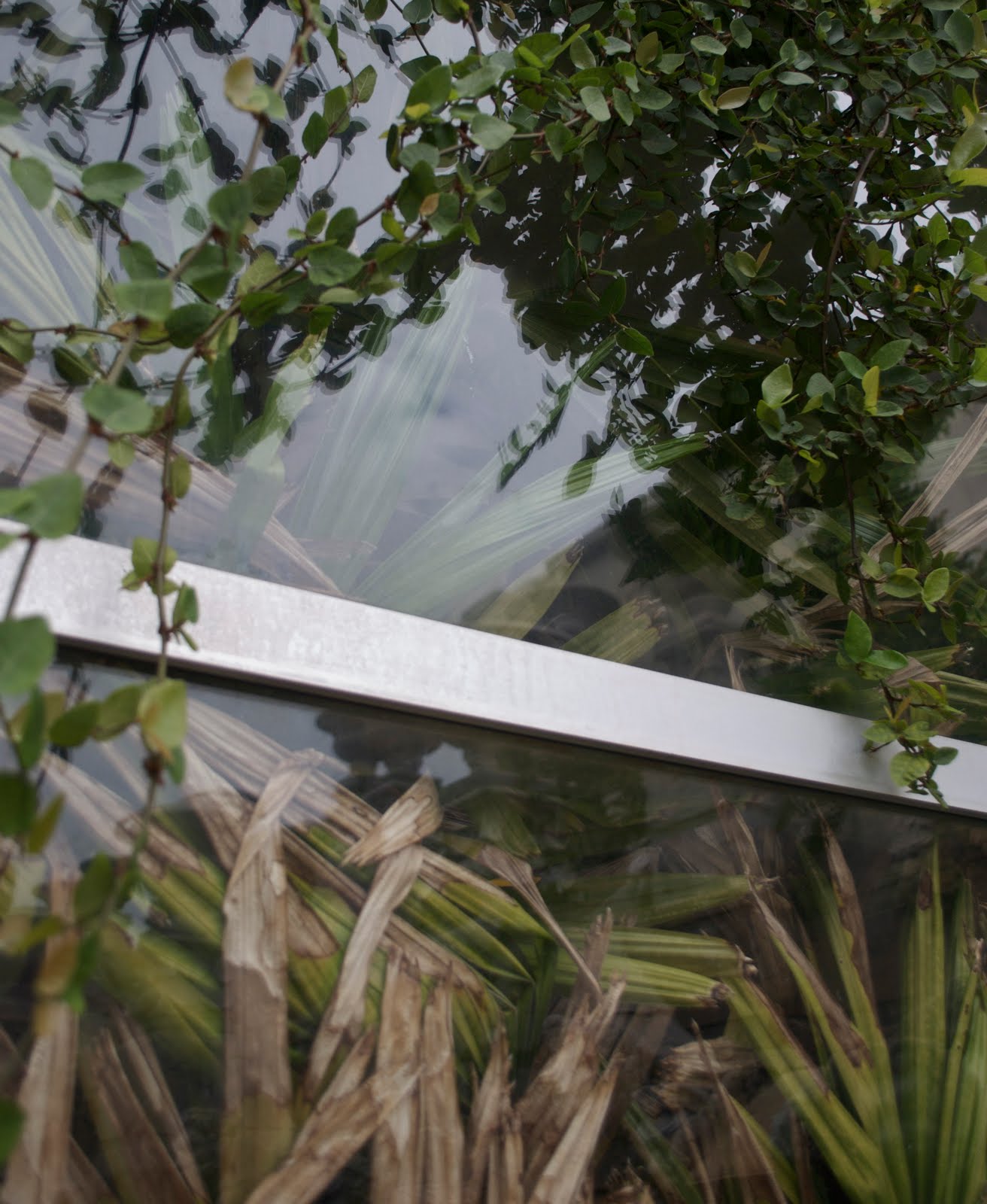 Old Florida: Larger than life: the Kapok Tree Restaurant