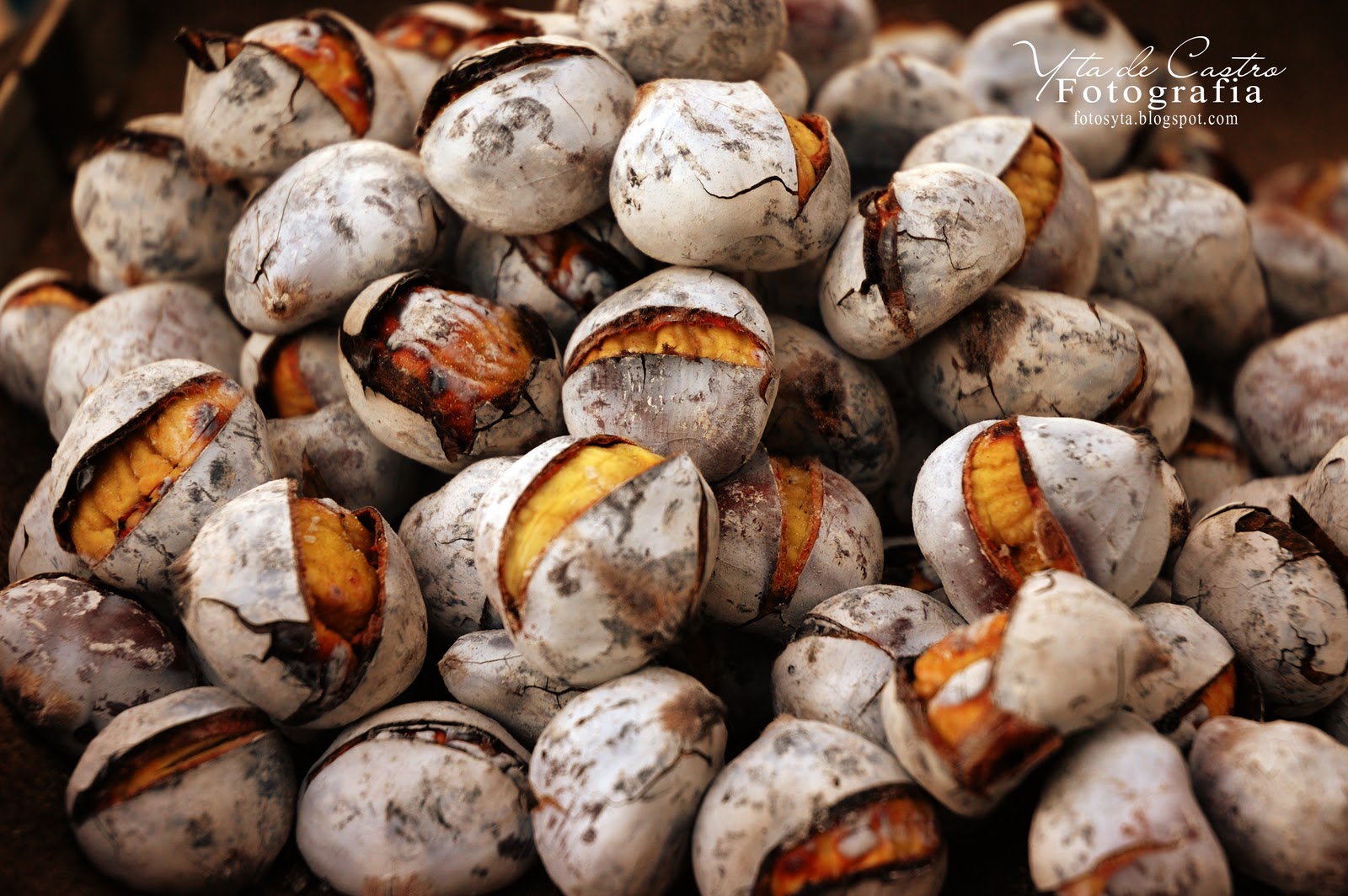 .: Fotos Yta :.: Castanhas Assadas