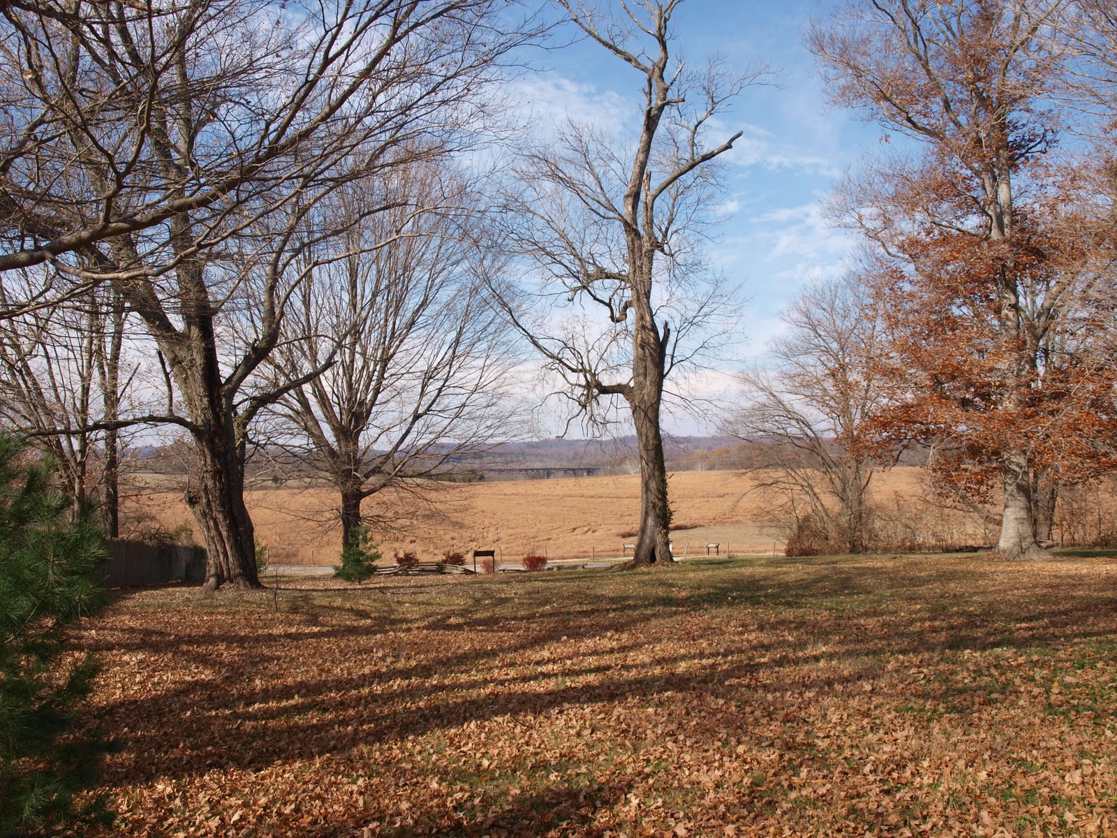 Moose & Squirrel East: Munfordville Kentucky