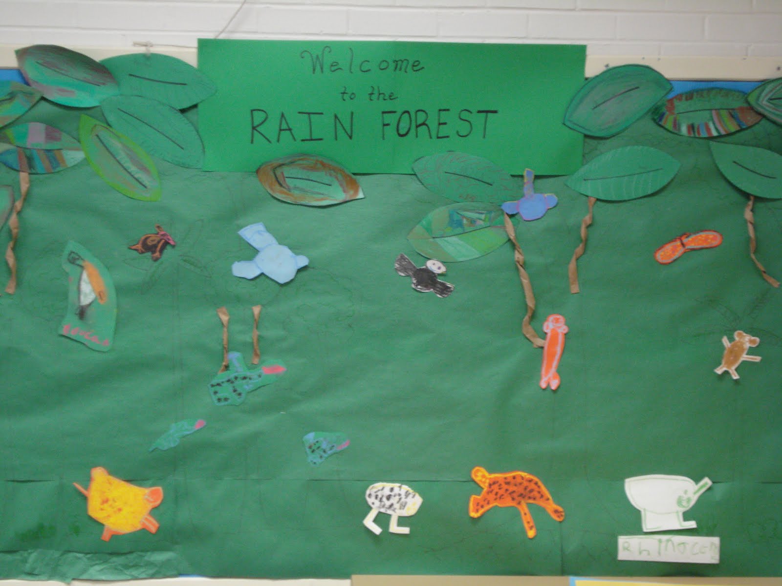Mrs. Heyland - AG: Rainforest Reading