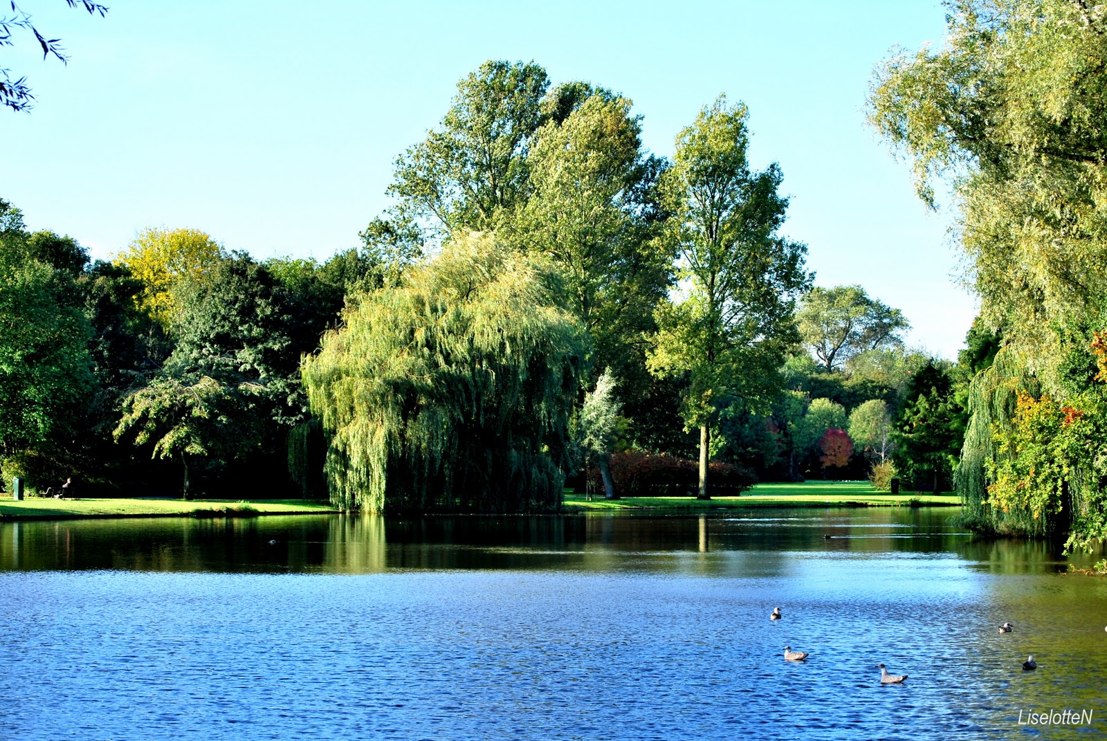 Oosterpark (Amsterdam) - JungleKey.nl Wiki