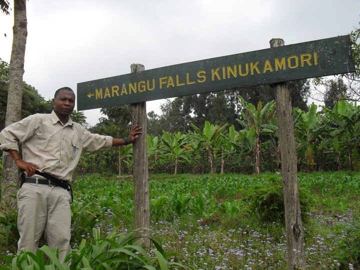 meatu secondary school: 2010