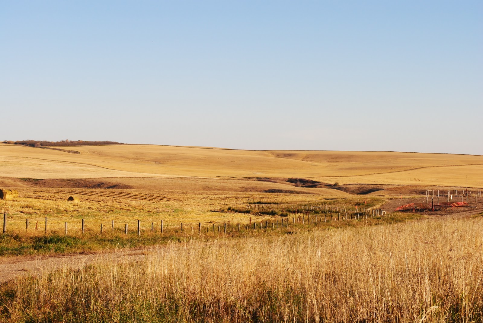 Little Prairie Baby: Promised Land