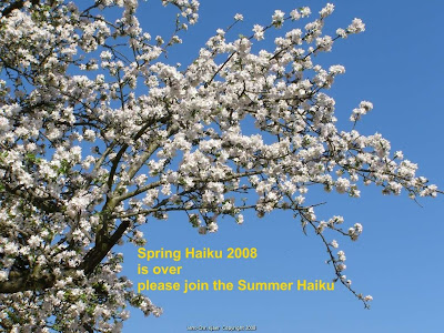 Spring Haiku 2008