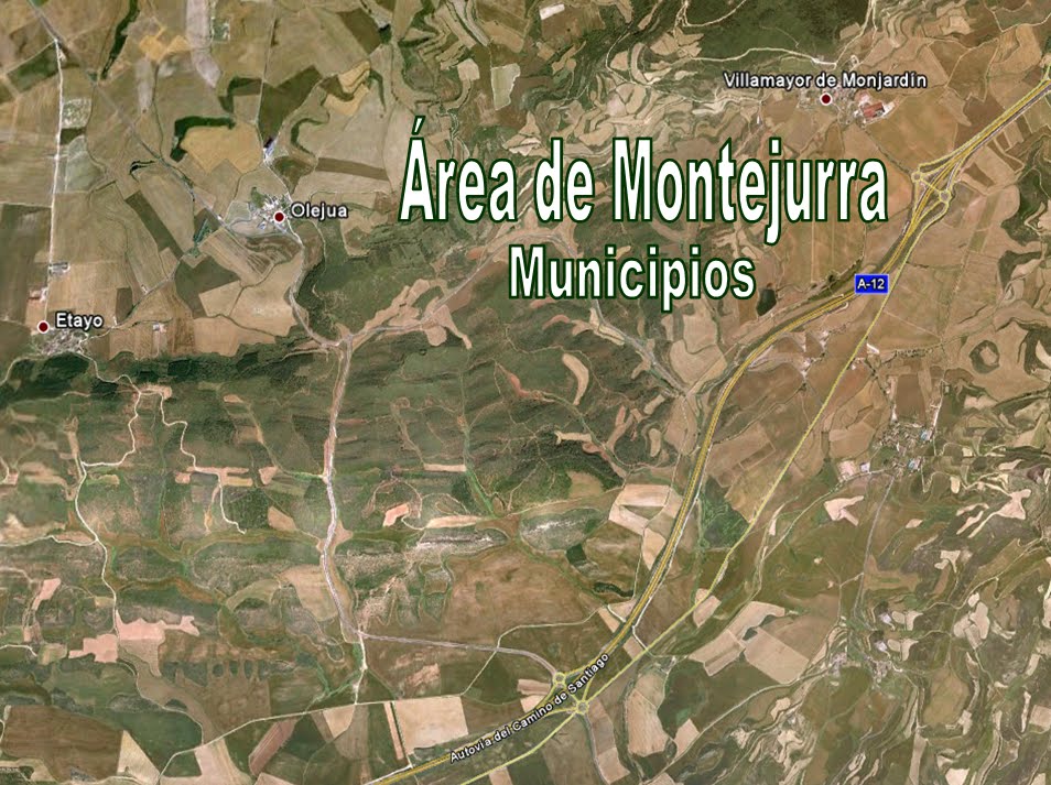 RECORRIENDO NAVARRA: Navarra. Zona 4. Tierra Estella 3ª parte