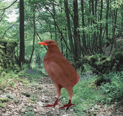 The Paranormal Pastor: Unknown Avian Cryptid