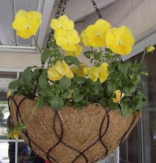 Hooked On DIY Hanging Flower Baskets - Premeditated Leftovers™
