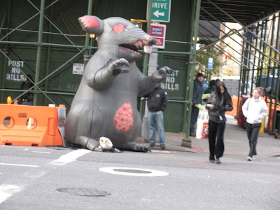 BETWEEN the MOON and NEW YORK CITY: Run !.... Giant Rats Invade New ...