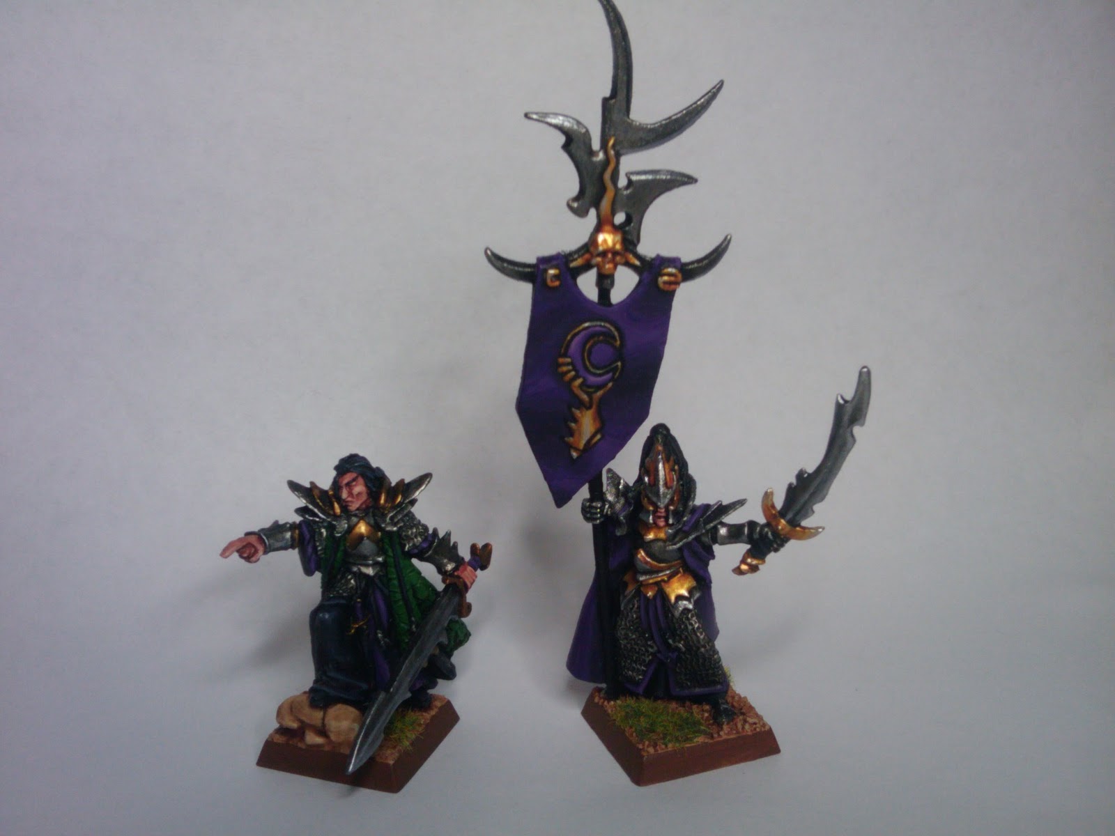 Warhammer: Dark Elf General and Battle Standard Bearer