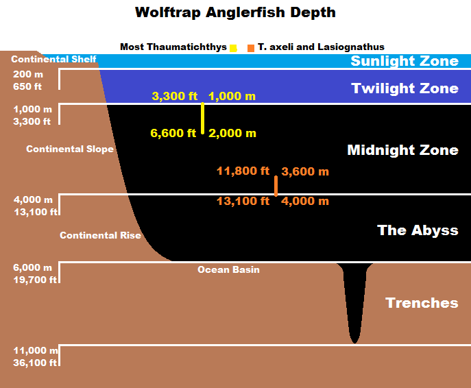 Wolftrap Angler