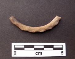 Harappan Civilization