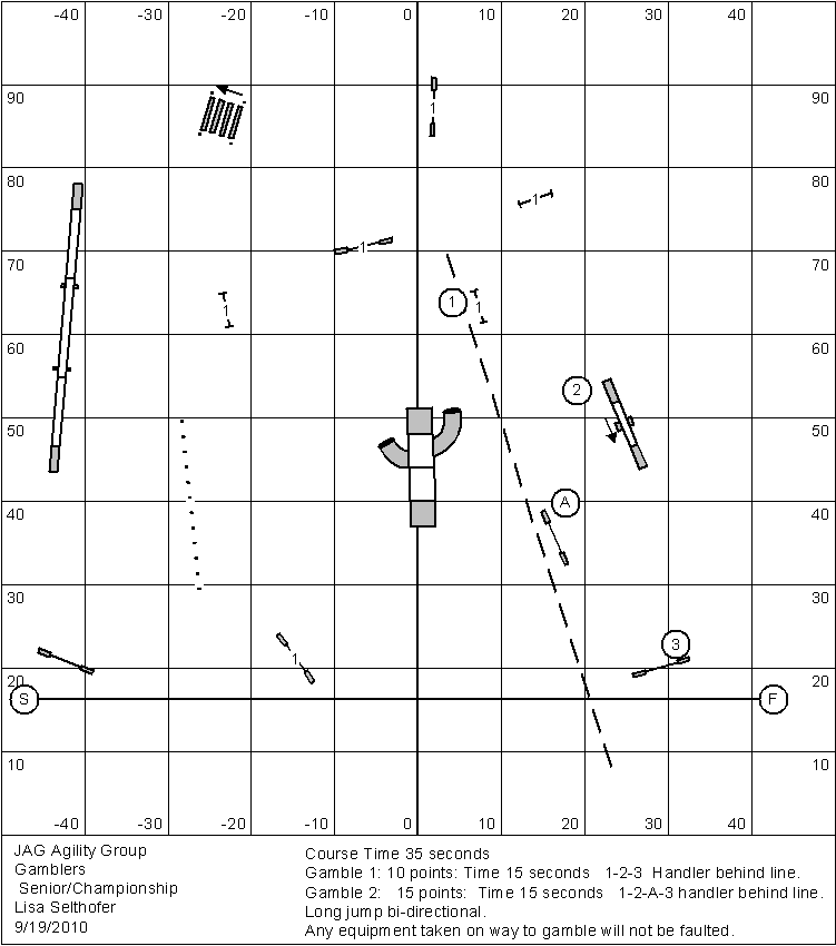 Dog Training, Dogs and Life