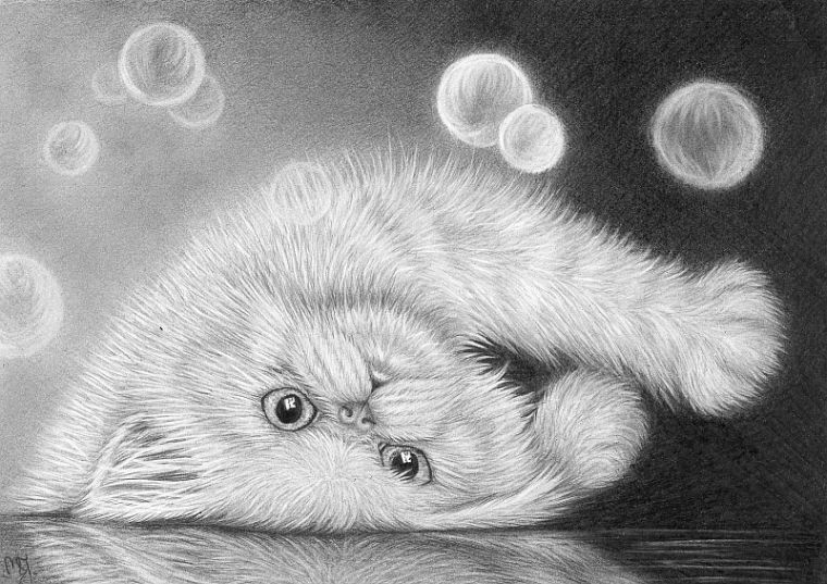 Rysunek by Titolec: Jak powstaje kot?