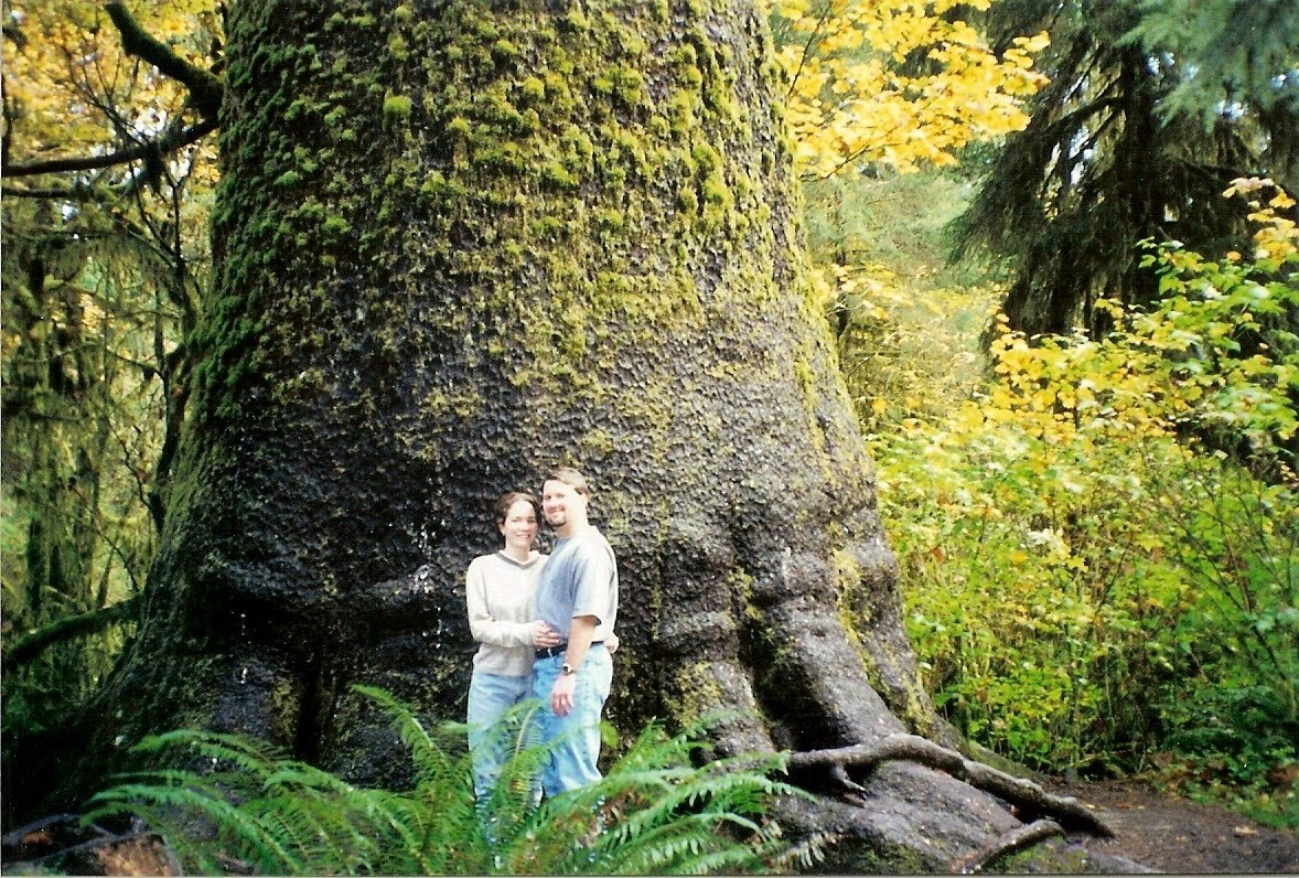 The Continuous Tourist: Northwestward Hoh