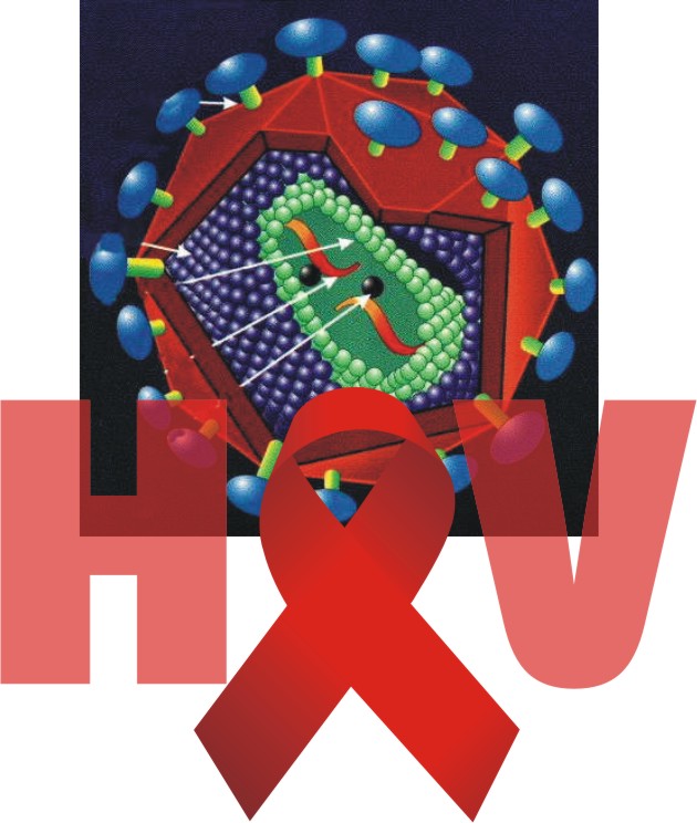 Patologia Junto a Enfermagem: Estrutura e multiplicação do HIV