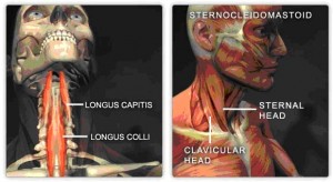 Heathrow Chiropractic