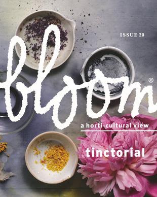 Mode Information London: Bloom Magazine