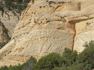 Dream Packer Trail Adventures: Deer Springs Ranch, Kanab, Utah