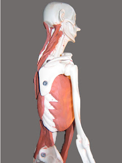 Derek's Life Drawing Blog: Clay Muscles