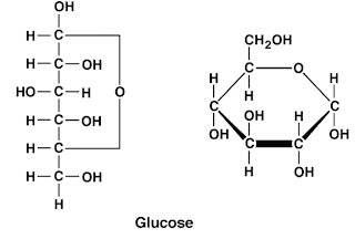 Male farmaceutske muke: Ugljeni hidrati
