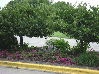 Prairie Rose's Garden: Out on the Streets ...and Country Byways