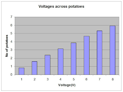 2010 science project
