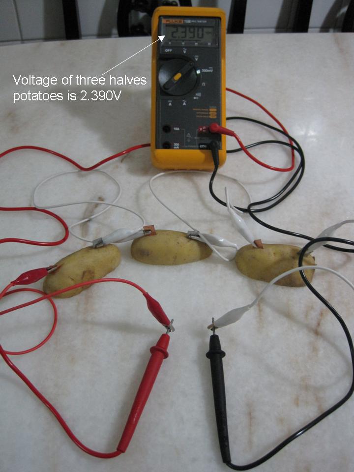 2010 science project