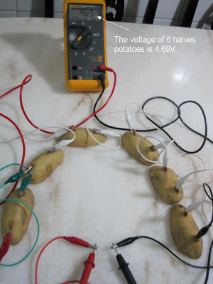 2010 science project