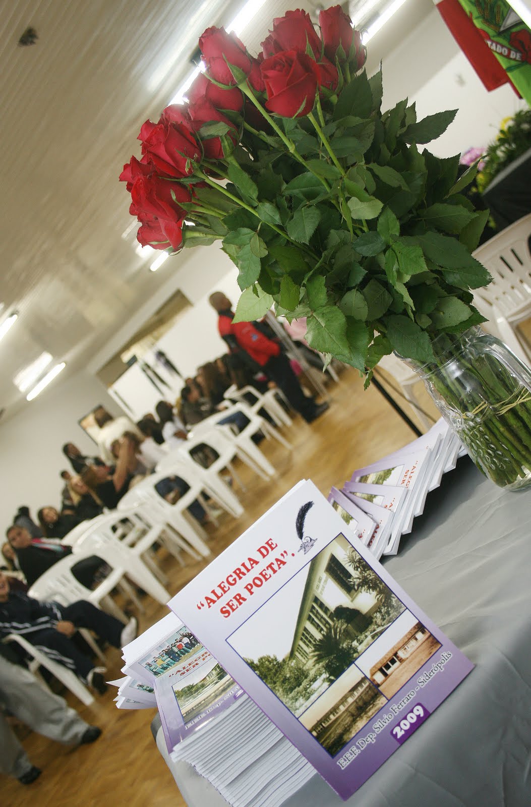 E.E.F. DEPUTADO SILVIO FERRARO