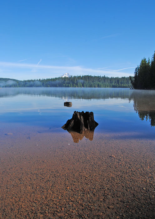 Rick + Lauren: Timothy Lake camping trip