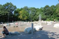 FoodieMommy: Testing the Waters: Beaver Brook Reservation, Belmont