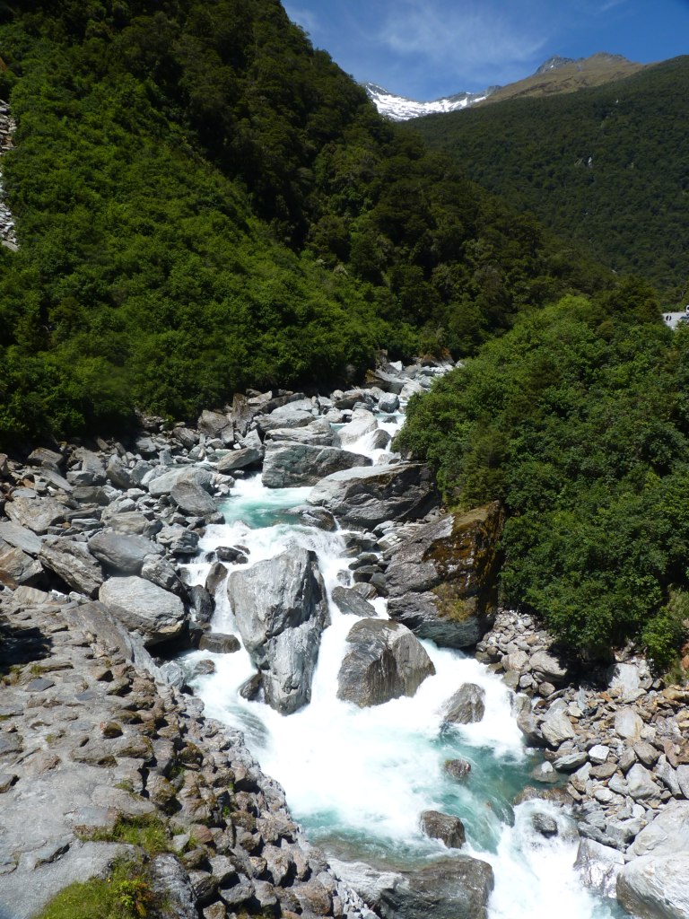 Haast, NZ: The West Coast Hustle ~ Go·See·Do