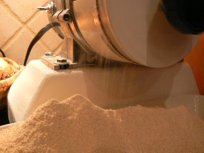 my vegan plate: retsel mill-rite mill