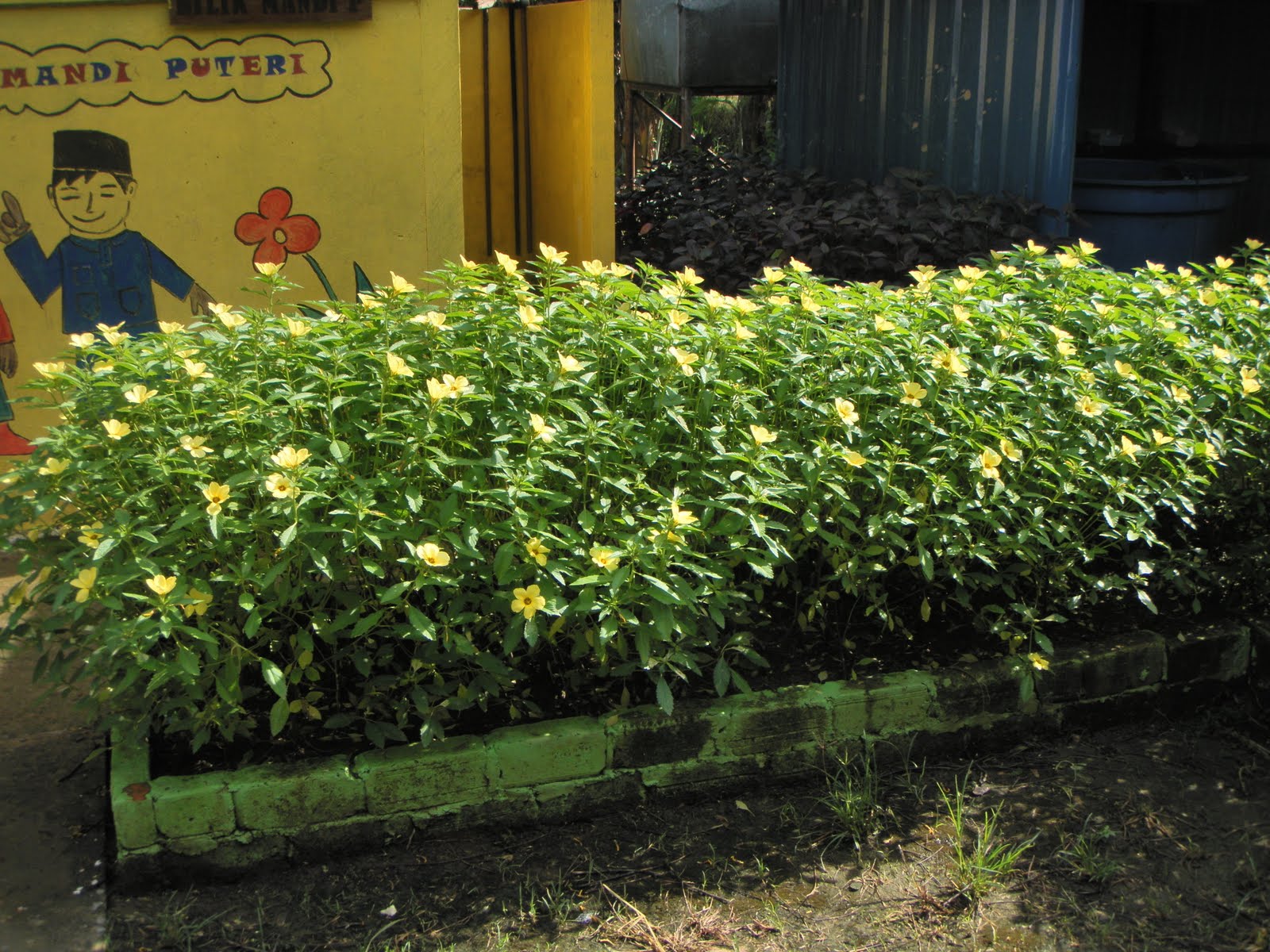 Asrama SK Ulu Merapok